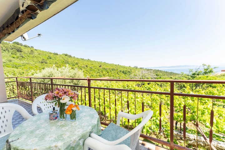 Balcony With A Sea View, Ac, Wifi - Rabac