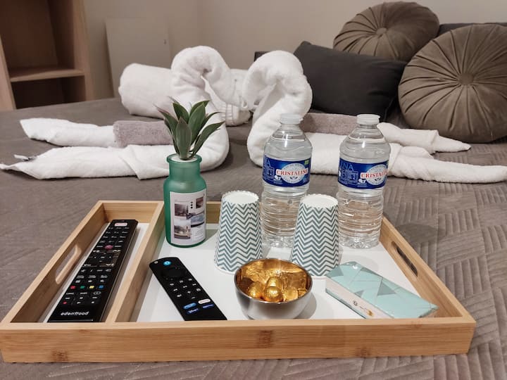 Chambre Spacieuse, Jacuzzi, Proche Parc Astérix - Plailly