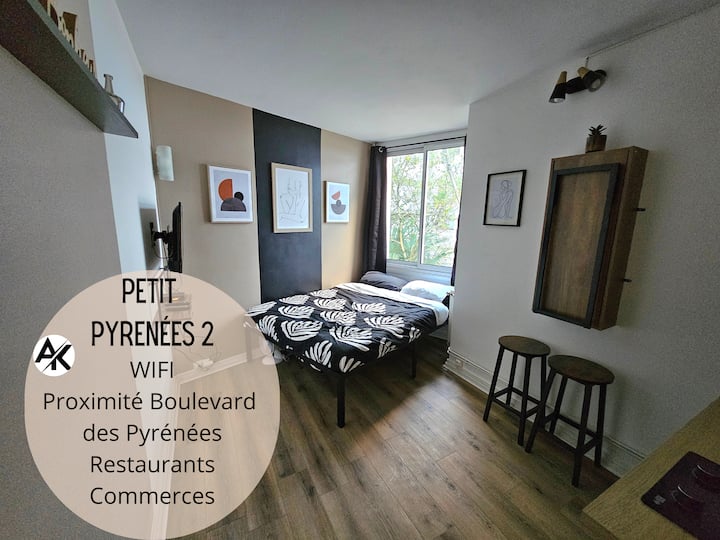Le Petit Pyrénées 2 - Hypercentre - Calme - Pau, Francia