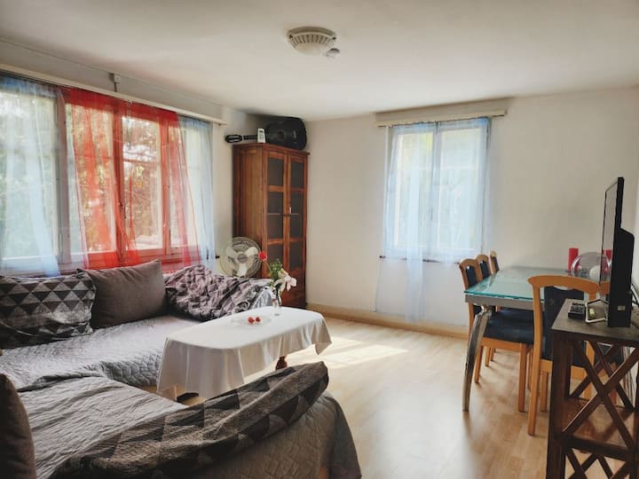 Zentrale, Schöne Wohnung - Suisse