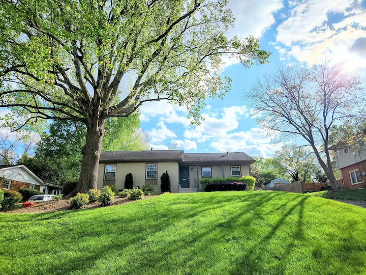 Charming 3 Bdr W/ Private Yard - Piper Glen Drive – Charlotte