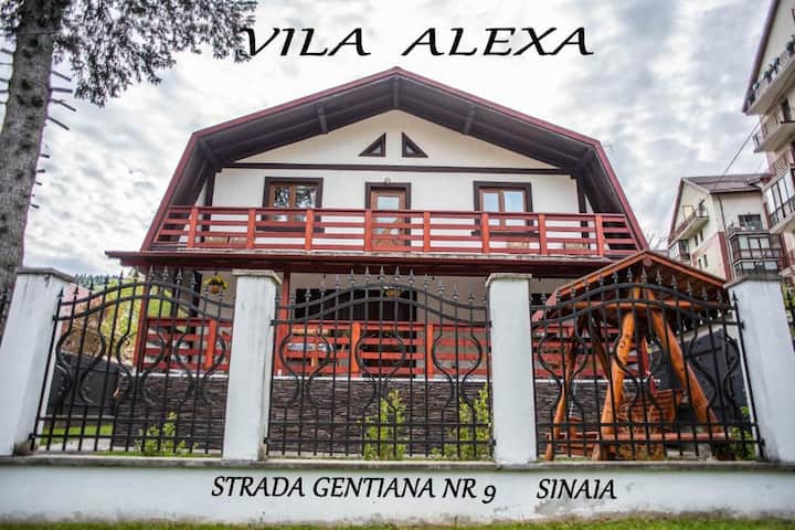 Casa Alexa - Cazare Sinaia - Sinaia