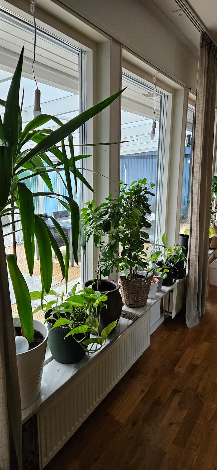 Enplansvilla Med Stor Privat Uteplats & Parkering - Höganäs