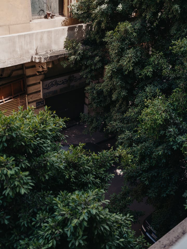 Brassbell L Dt L Hannaux Studio | Tahrir Sq 41 - Egypt