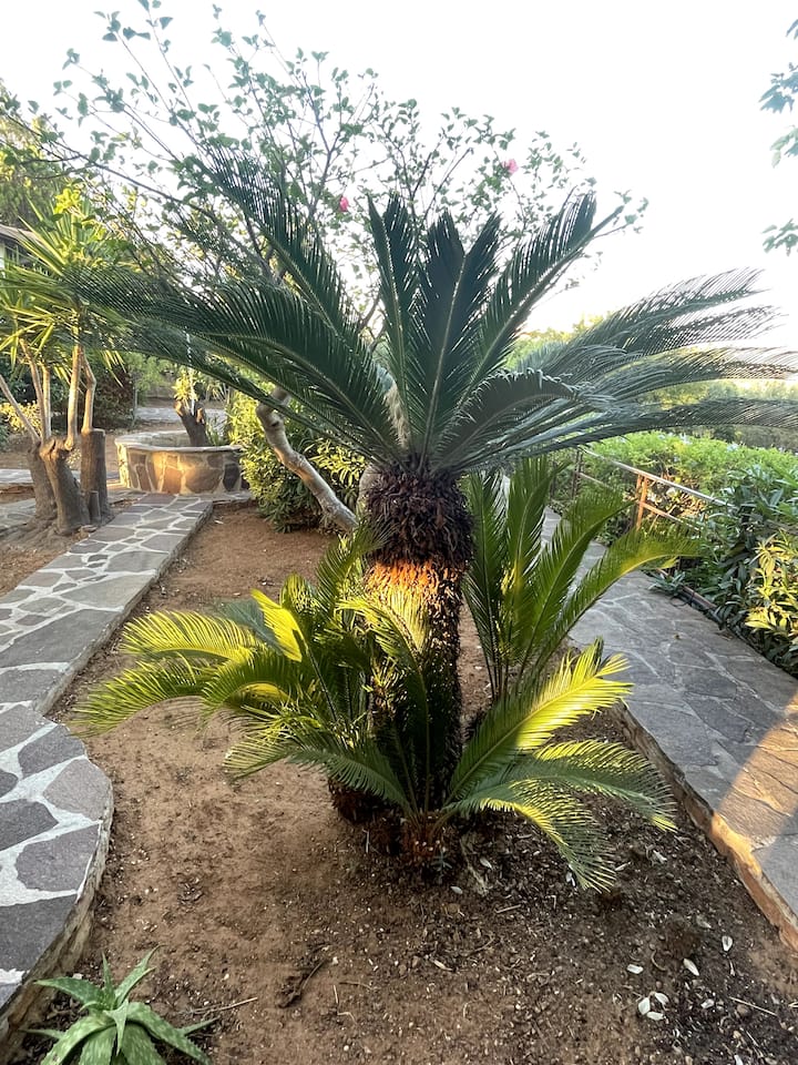 Casa Sciavè - Paradiso A Sciacca - Sciacca