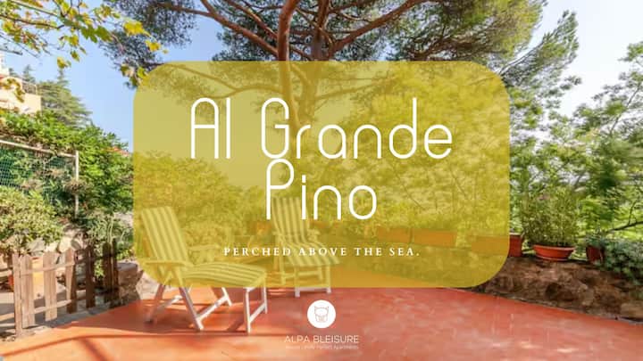 "Al Grande Pino", A Picco Sul Mare - Arenzano