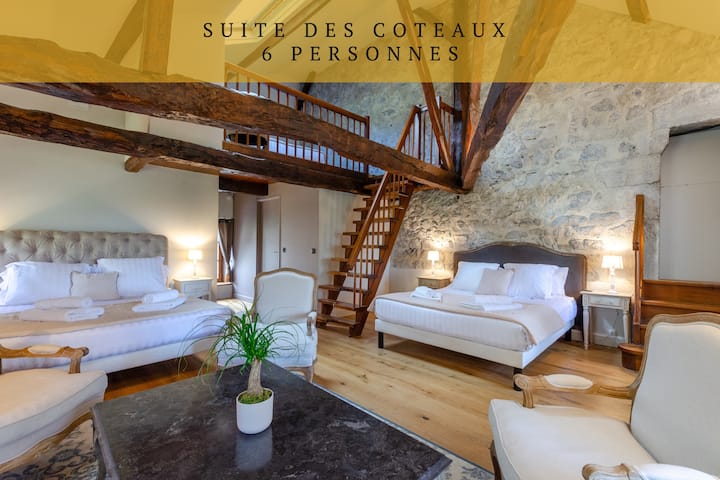 Chambre D'hôtes- Château De La Rive- 6 Personnes - Montmélian