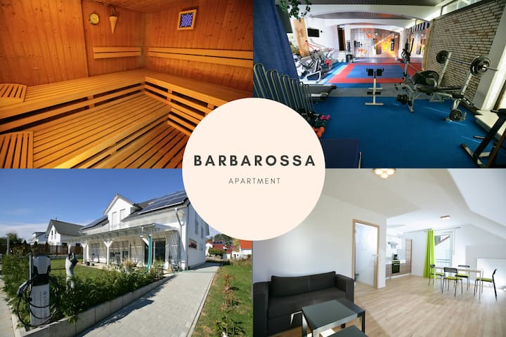 Og Wohnung Mit Sauna Und Gym In Göppingen - Göppingen