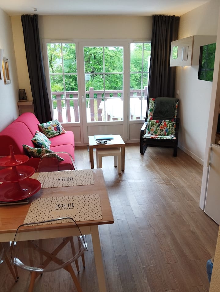 Appartement Vue Rivière - Argentat-sur-Dordogne