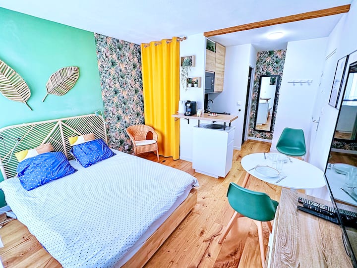 Studio Cosy  Part-dieu  Métro/univ - Villeurbanne