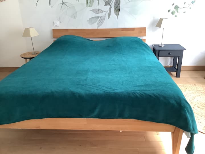 Chambre Indépendante Proche Beaujoire - Carquefou