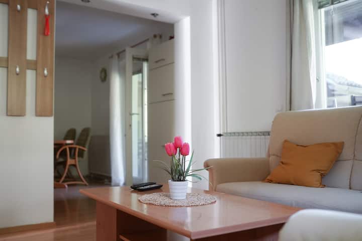 Two Bedroom Apartment With Terrace - Bohinjska Bistrica