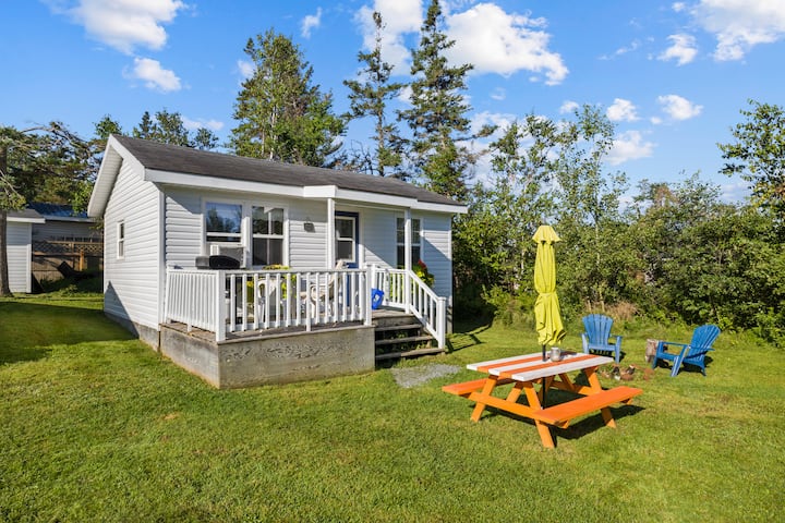 Beach Trees - Sand Dune - Stanhope, PE, Canada