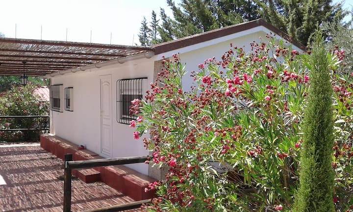 Mobilheim, Pool, Gratis W-lan - Casabermeja