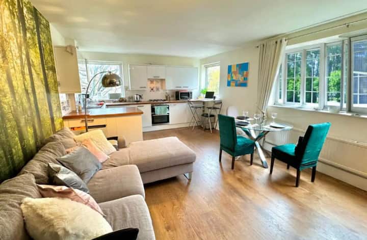 2 Large Br Apt, Park View, 5 Min To Chelsea - Chelsea