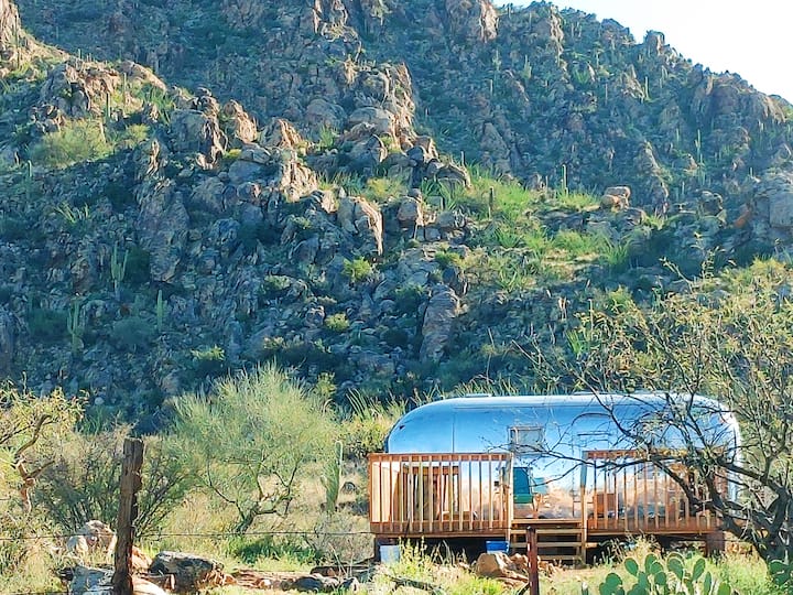 Amazing Desert Views 300 Acre Private Saguaro Park - Arizona