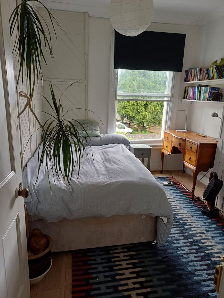 Edwardian Terraced Seaside Home - Dawlish