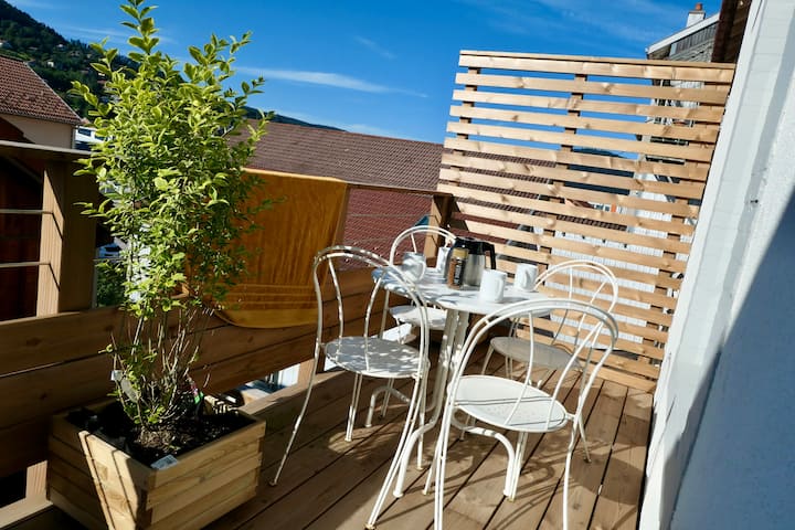 Appartement Hyper Centre 2 Balcons Et 1 Terrasse - La Bresse