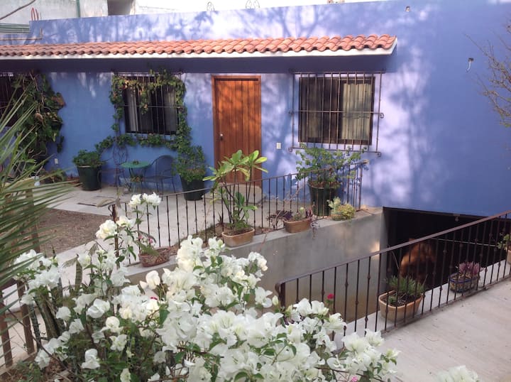 Departamento Con Jardín Y Terraza - Oaxaca
