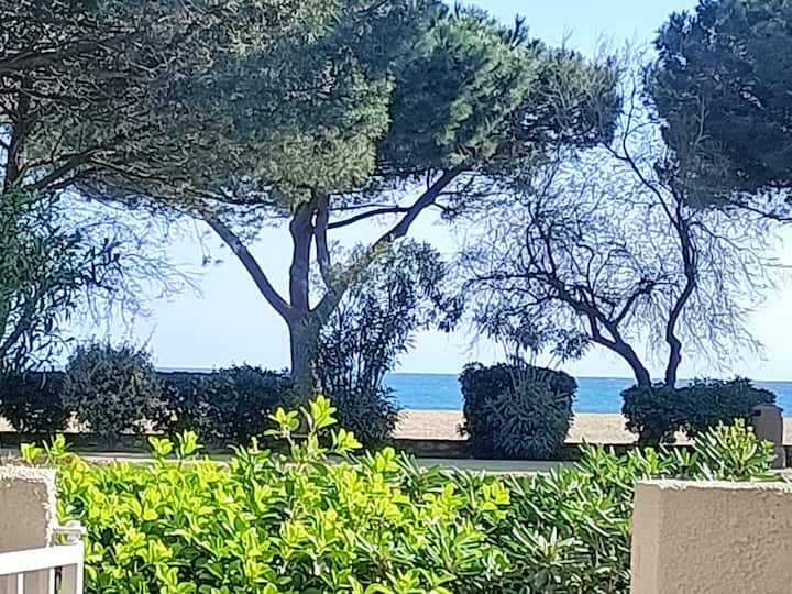 Front De Mer Beau T2 - Argelès-sur-Mer