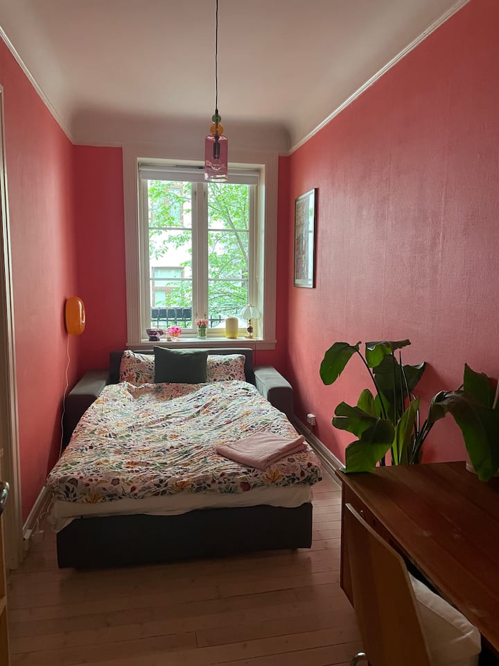 Eget Rom I Sentral Leilighet - Oslo