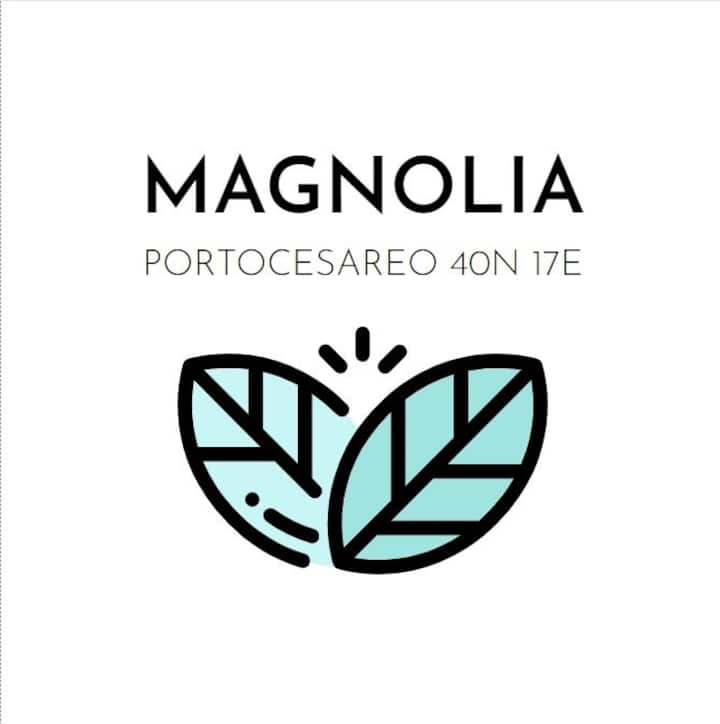 Magnolia - Porto Cesareo