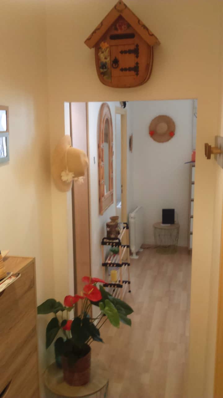 Appartement "Cosy" De 50m2 - Ax-les-Thermes