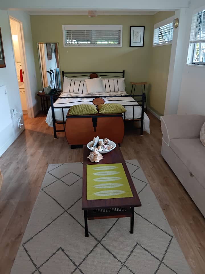 The Friendly Pigeon - Tutukaka