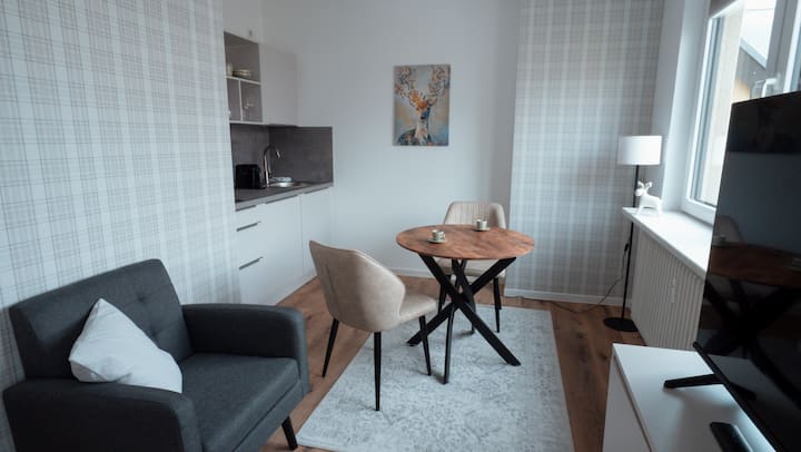 Cozy Studio In Prime City Location Apartment 1 - Sarrebruck