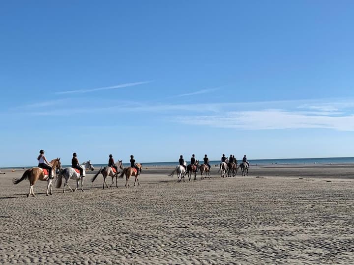 Villa "Les Pommes De Pins" à 5 Min De La Plage - Hardelot-Plage