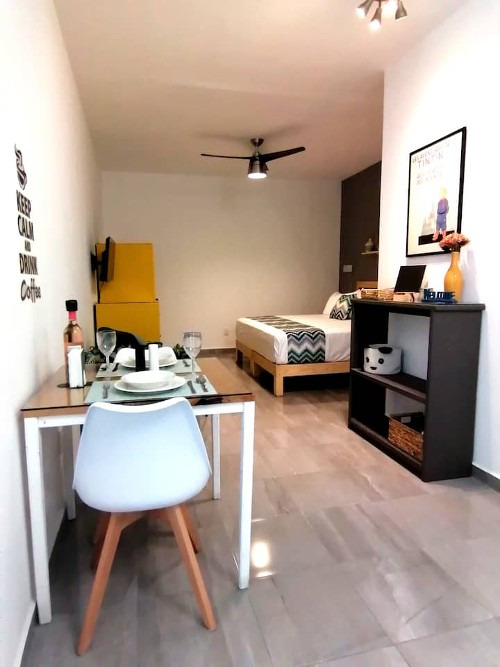 Céntrico Loft En Planta Baja. - San Luis Potosí