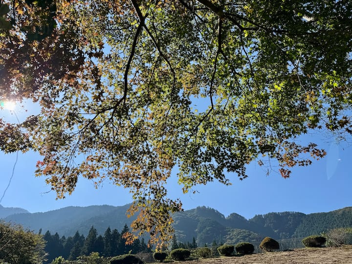 【紅葉・登山・絶景風呂】奥多摩の森で深呼吸する宿 To-oku Okutama - Tokyo