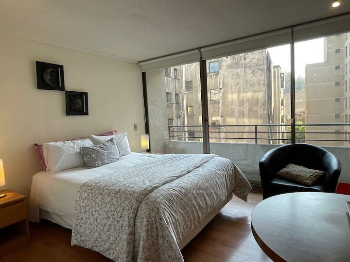 A08 Acogedor Apartamento Estudio - Santiago (Chile)