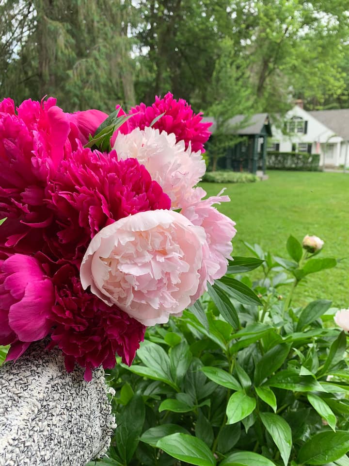 *Special Spring Rates*
Classic Berkshire Retreat - Stockbridge