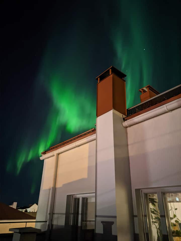 Unique Penthouse In City Center Free Parking&sauna - Rovaniemi