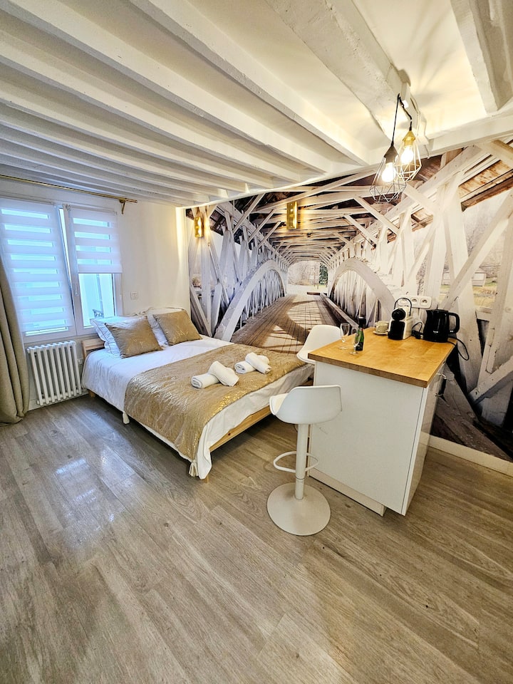 Studio Centre De Paris - Paris