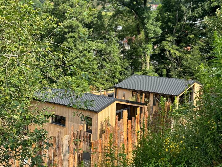 Maisons Pour Voyage En Groupe - Bain Nordique - Orbey