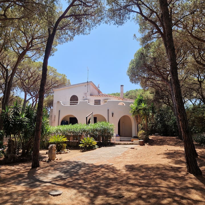 Villa A S. Margherita (Ca) A 300 M. Dalla Spiaggia - Domus de Maria
