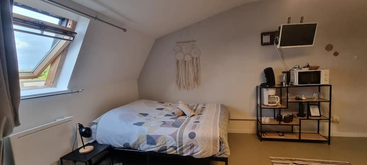 T1 Rénové 29 M2 Cosy Confort ! - Denain