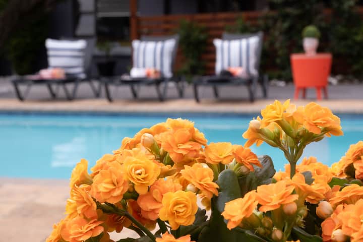 The Hemingway House 15 Min From Tambo Airport - Boksburg