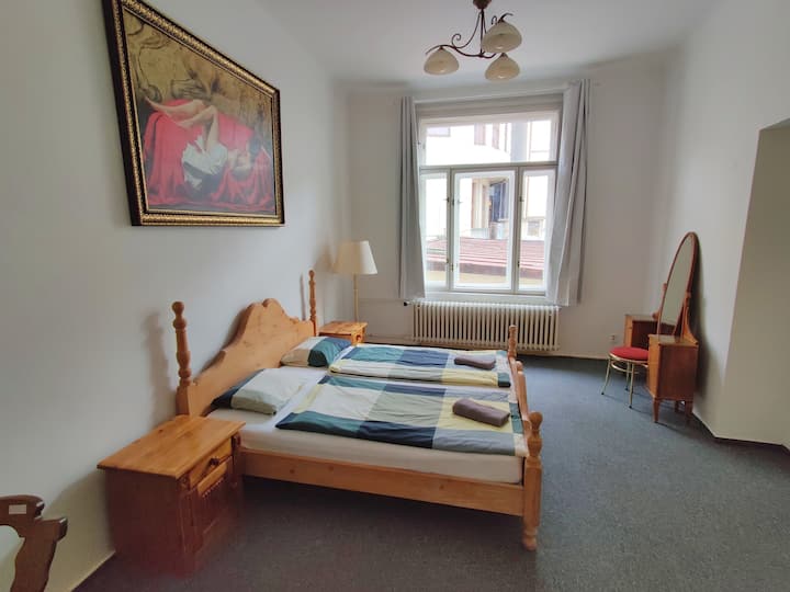 Spacious Private Room In Center - プラハ