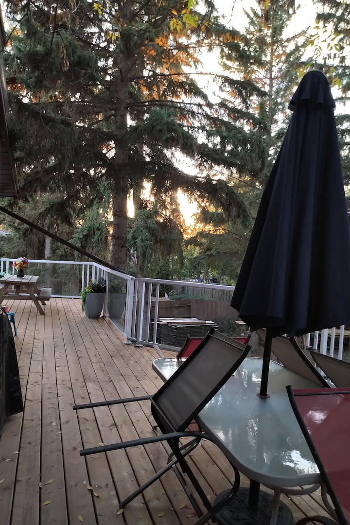 5 Bedroom, Two Kitchens, Walkout Basement - Alberta