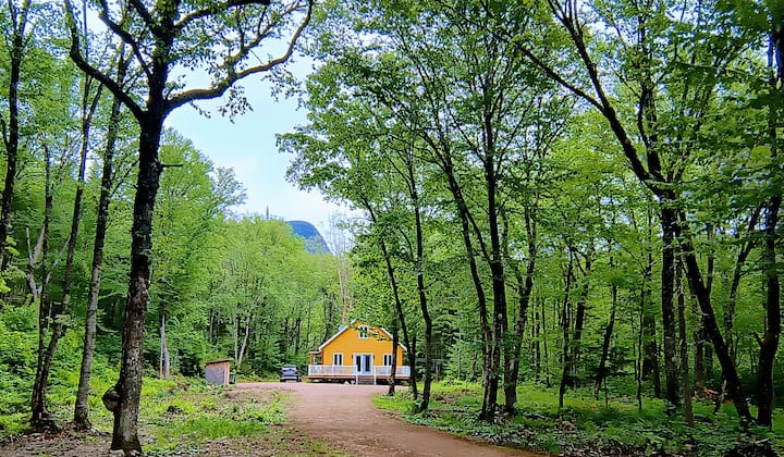 Chalet De La Roche Plate / Vallée Bras Du Nord - Quebec