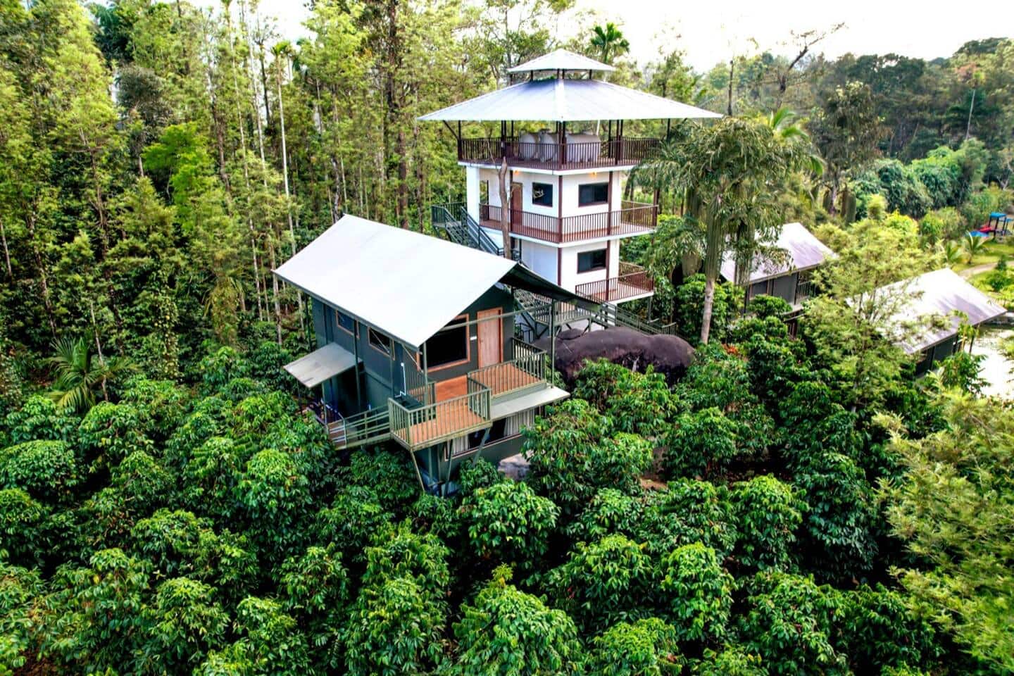 Karnataka Treehouse Holiday Rentals - India | Airbnb