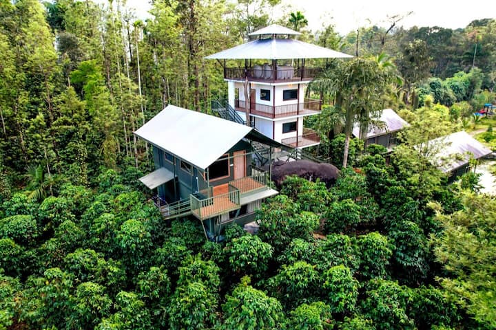 Scenic Deluxe Room Inside Coffee Plantation - Wayanad