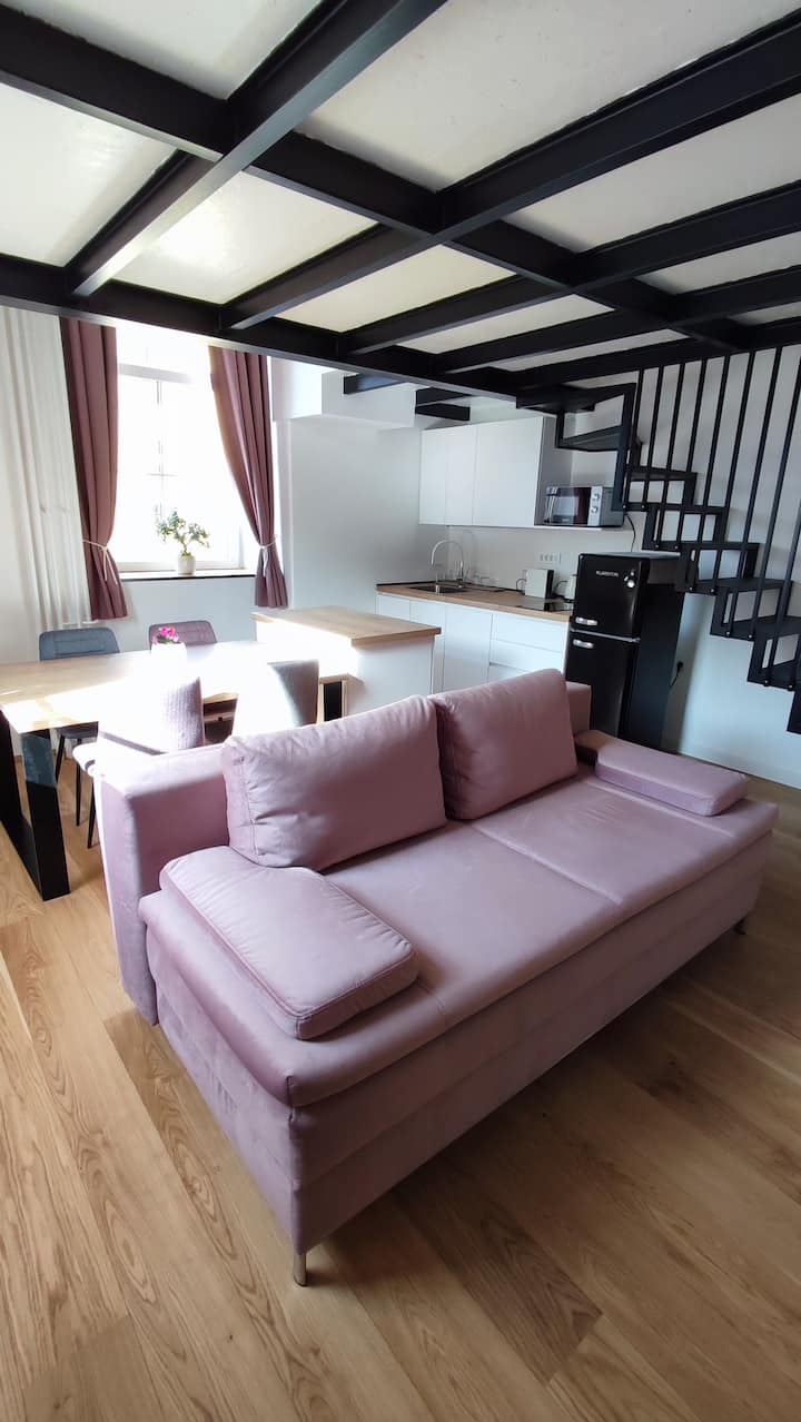 Nouveau! Duplex Ljubljana Centre - 盧布爾雅那