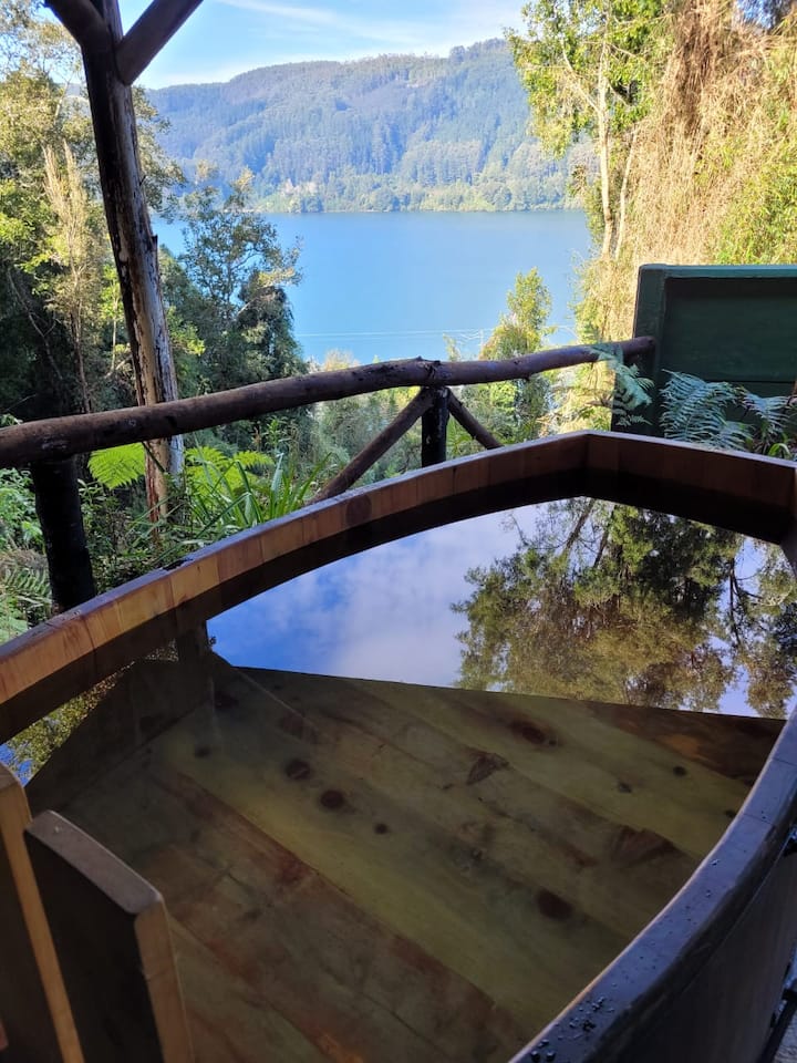 Cabaña Zorzal - Valdivia