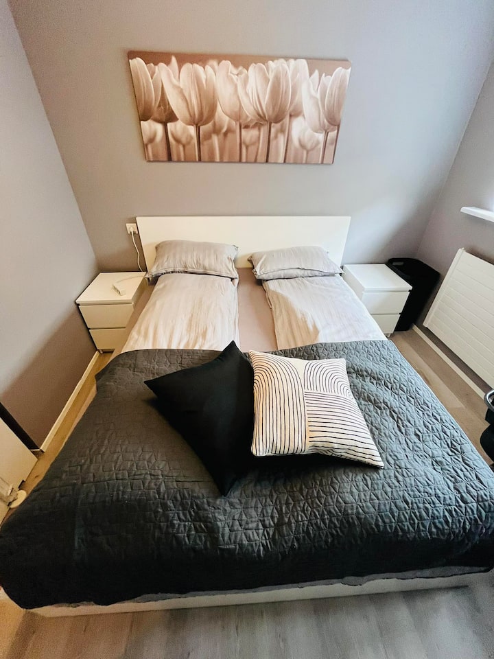 Downtown Reykjavik - Cozy Apartment - Reykjavik