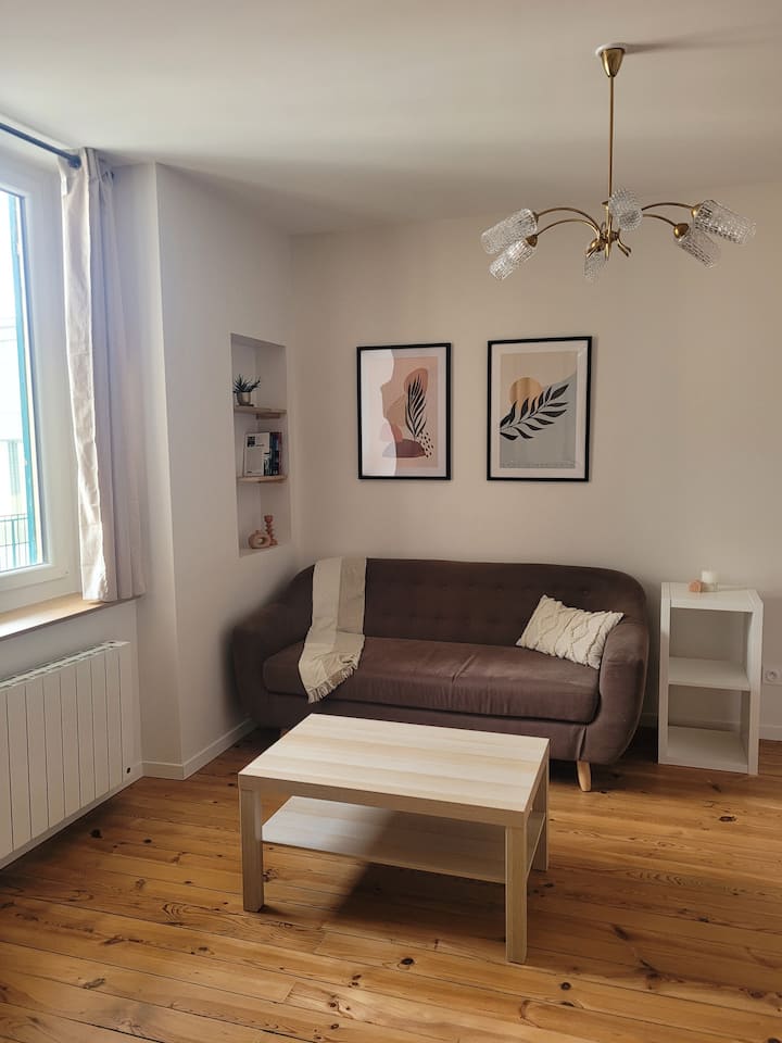 Studio Centre-ville Et Proche Des Bords De Loire - Roanne