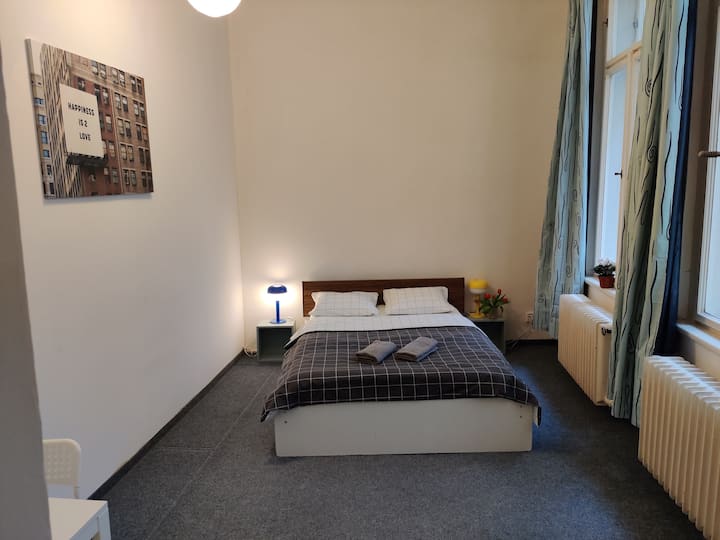 Room Next To Railway Station - Praag